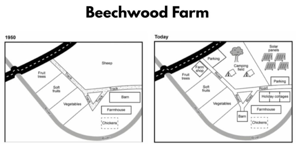 Giải IELTS Cam 20 – Test 2: Writing Task 1: Beechwood Farm