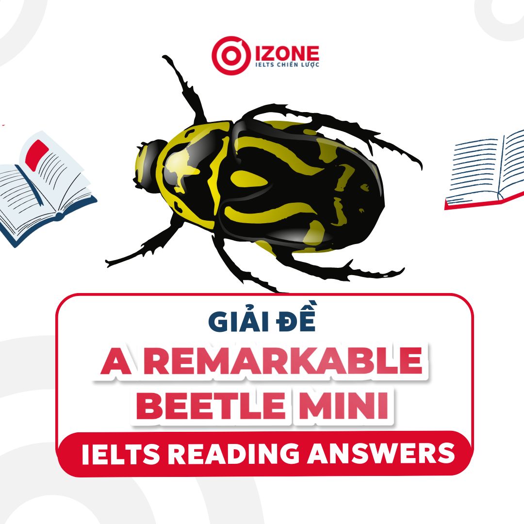 Giải chi tiết A remarkable beetle mini IELTS Reading Answer